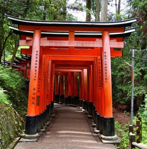 Đền thờ Fushimi Inari Taisha: Văn hóa Nhật Bản với cổng Torii